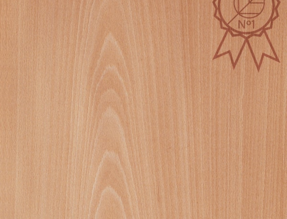 Maple maciço - Madeira para decoração | MADEIREIRA BERNAUER